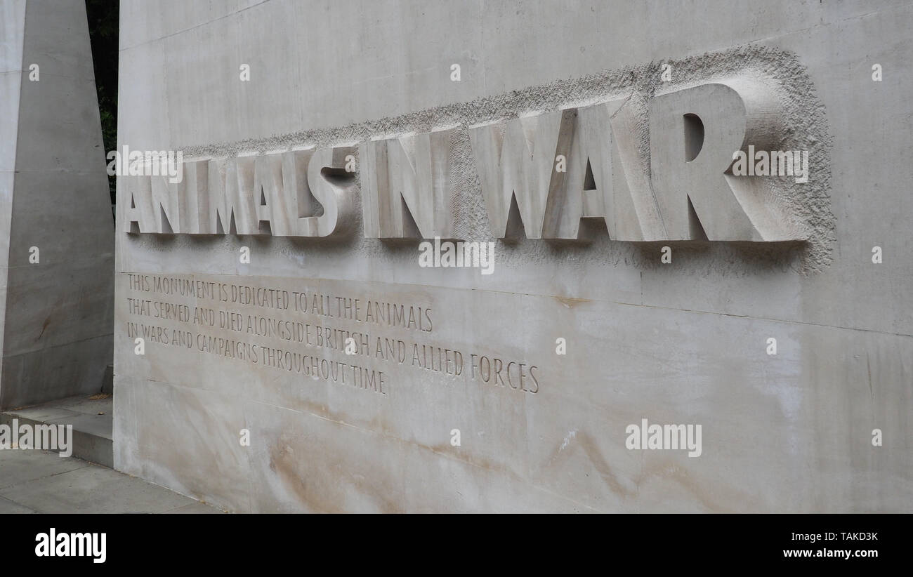 Animals in War Memorial Stock Photo - Alamy
