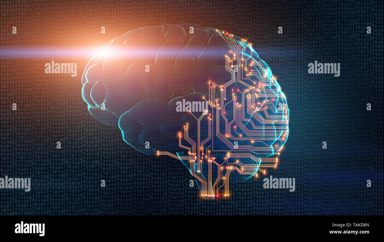 Human brain and circuit board hi-res stock photography and images - Alamy