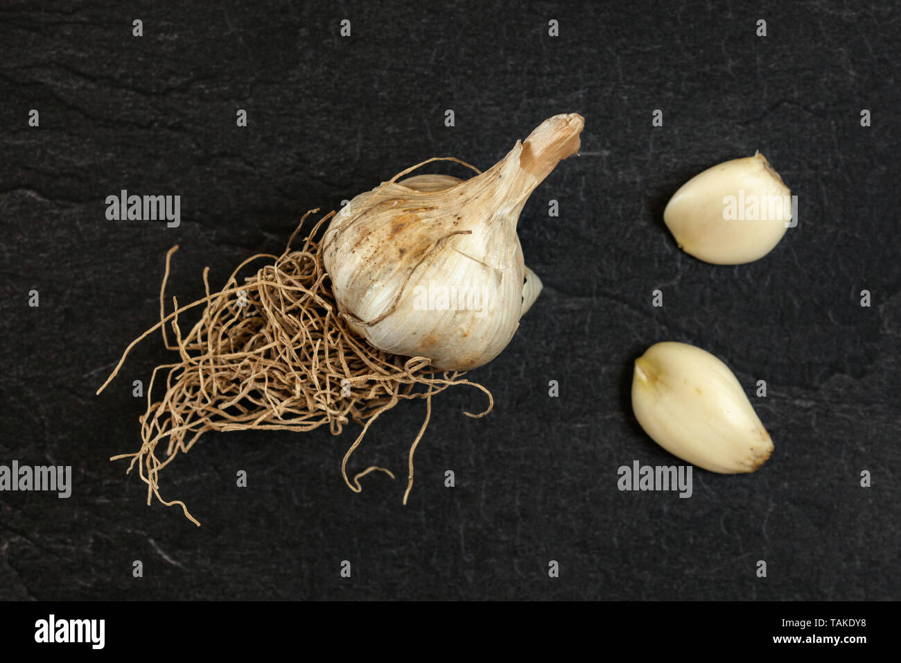 Garlic roots hi-res stock photography and images - Alamy