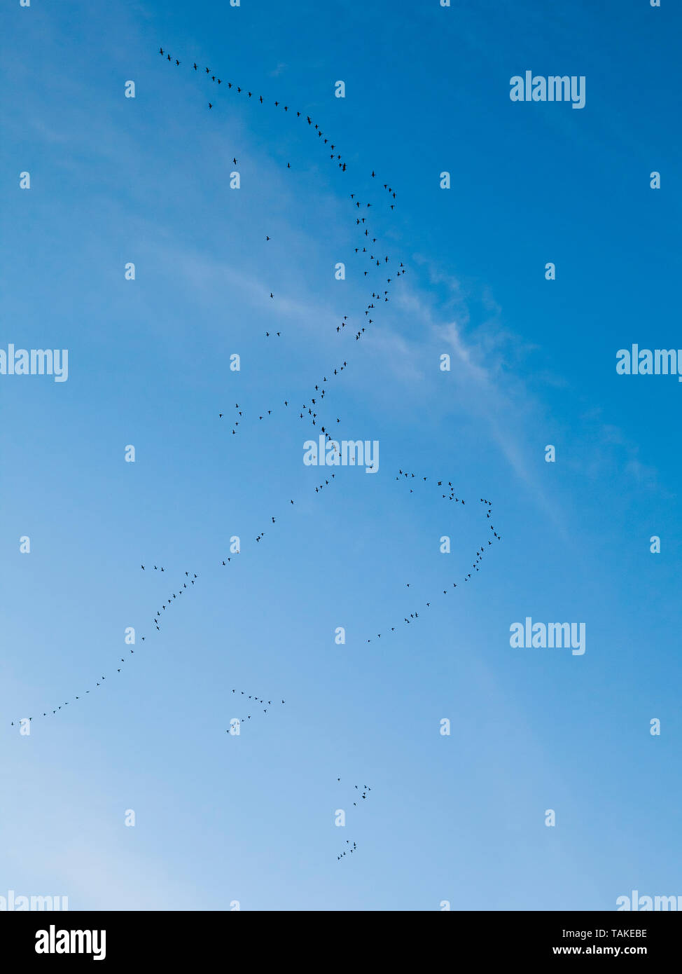 High v formations hi-res stock photography and images - Alamy