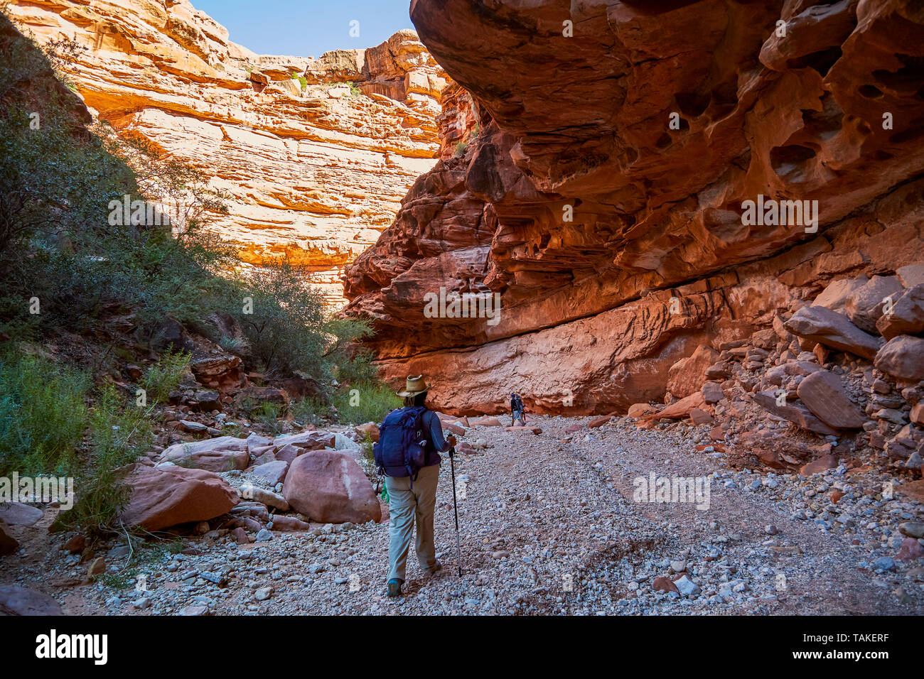 Hikers in red rock canyon in Arizona's Havasupai Stock Photo - Alamy