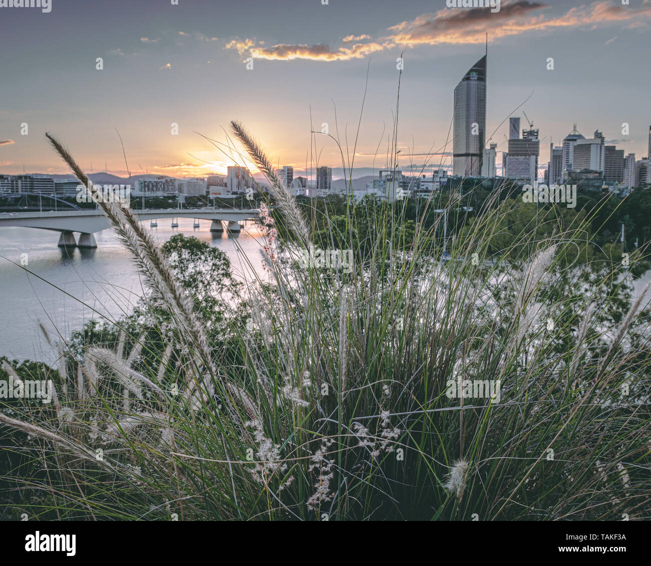 Brisbane view from afar Stock Photo - Alamy