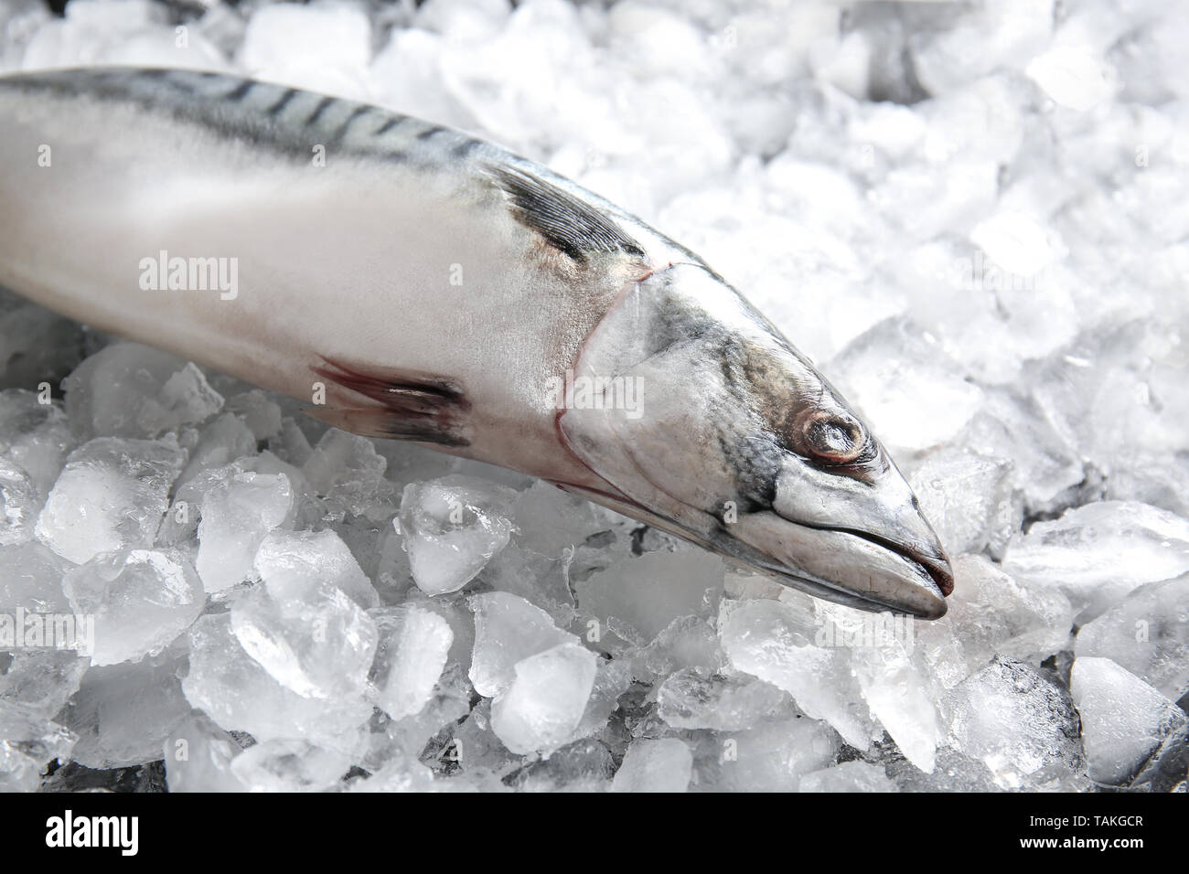 Tasty raw mackerel fish on ice Stock Photo - Alamy