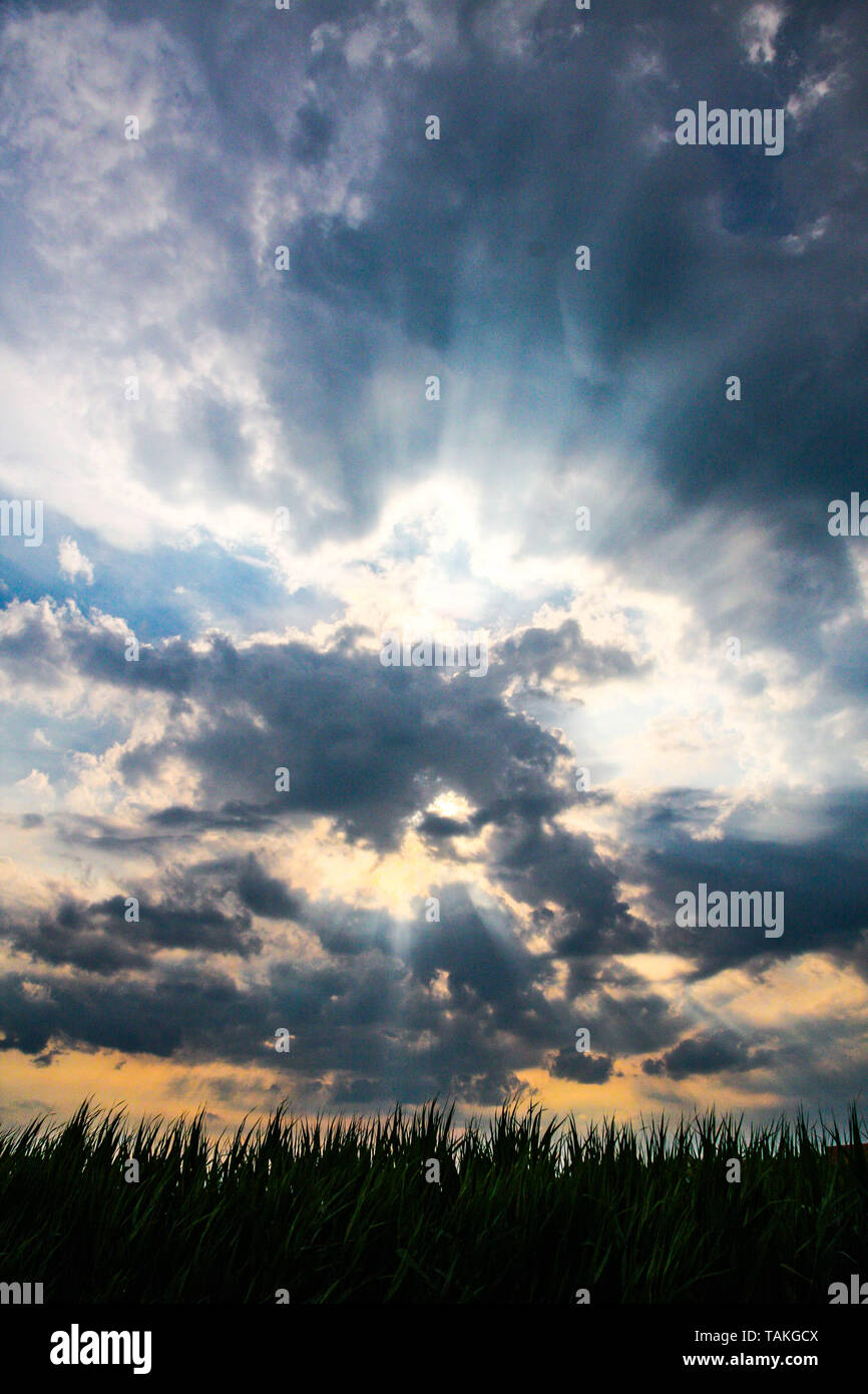 Beautiful, colorful sunshine, sunset sunbeams, sun ray on the blue sky ...
