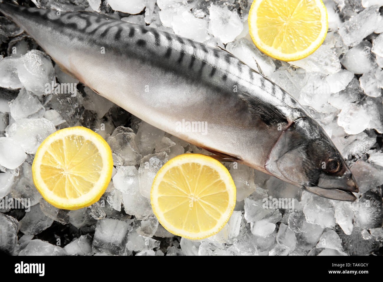 Tasty raw mackerel fish with lemon on ice Stock Photo - Alamy