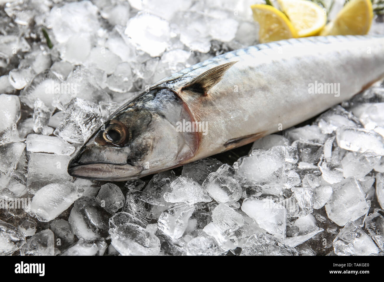 Tasty raw mackerel fish on ice Stock Photo - Alamy