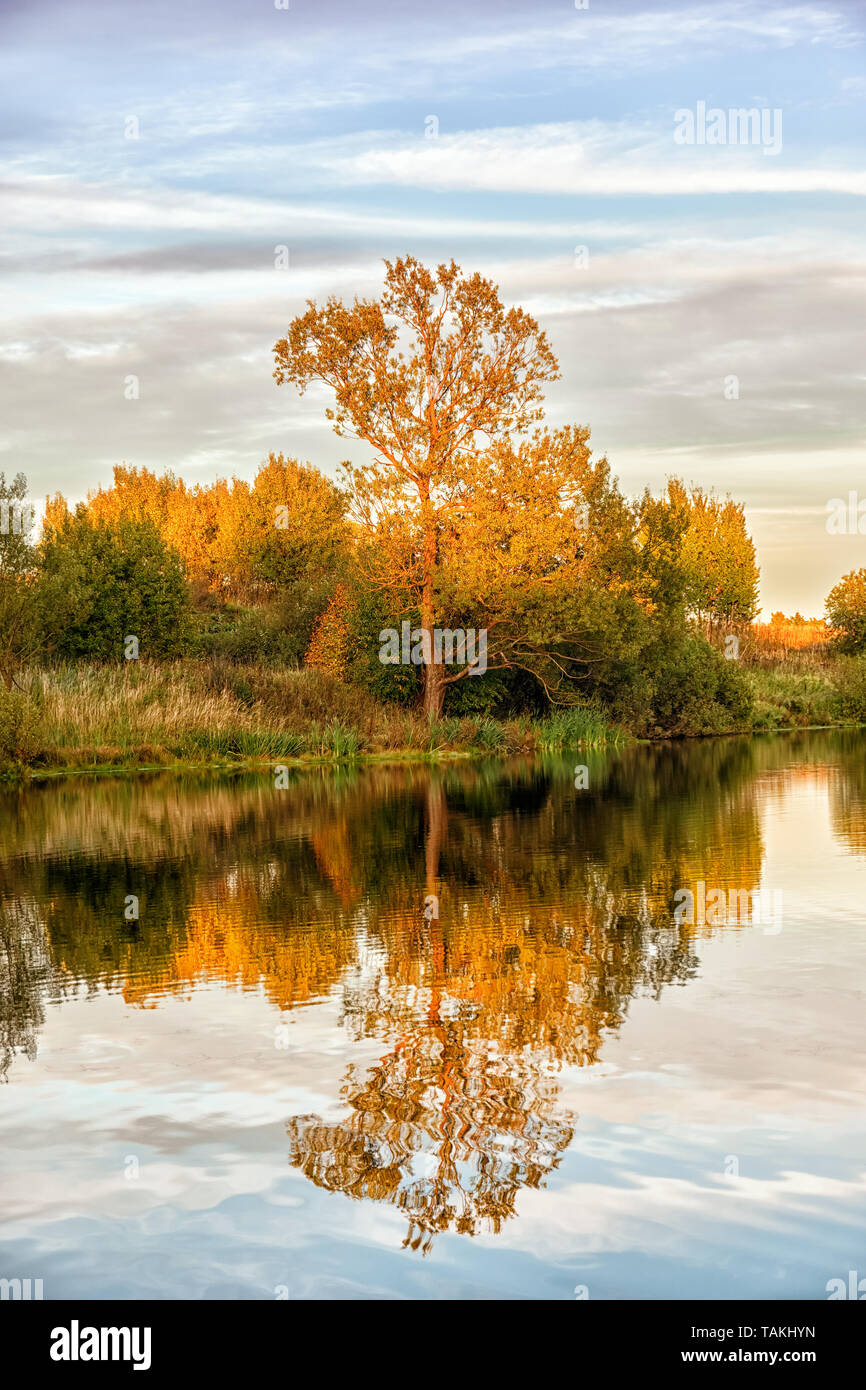 Beautiful forest nature water landscape hi-res stock photography and ...