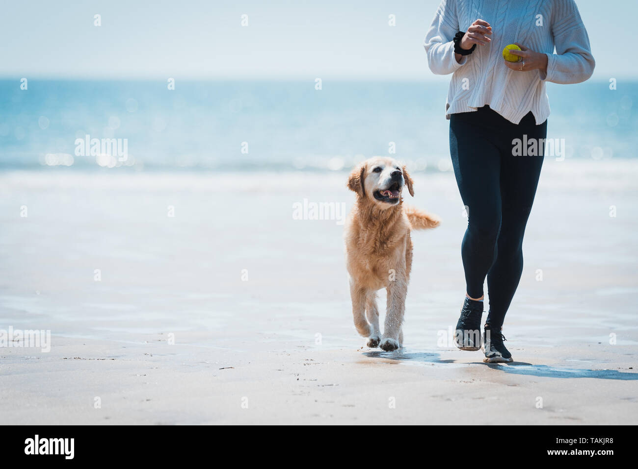 Dog running woman beach hi-res stock photography and images - Alamy