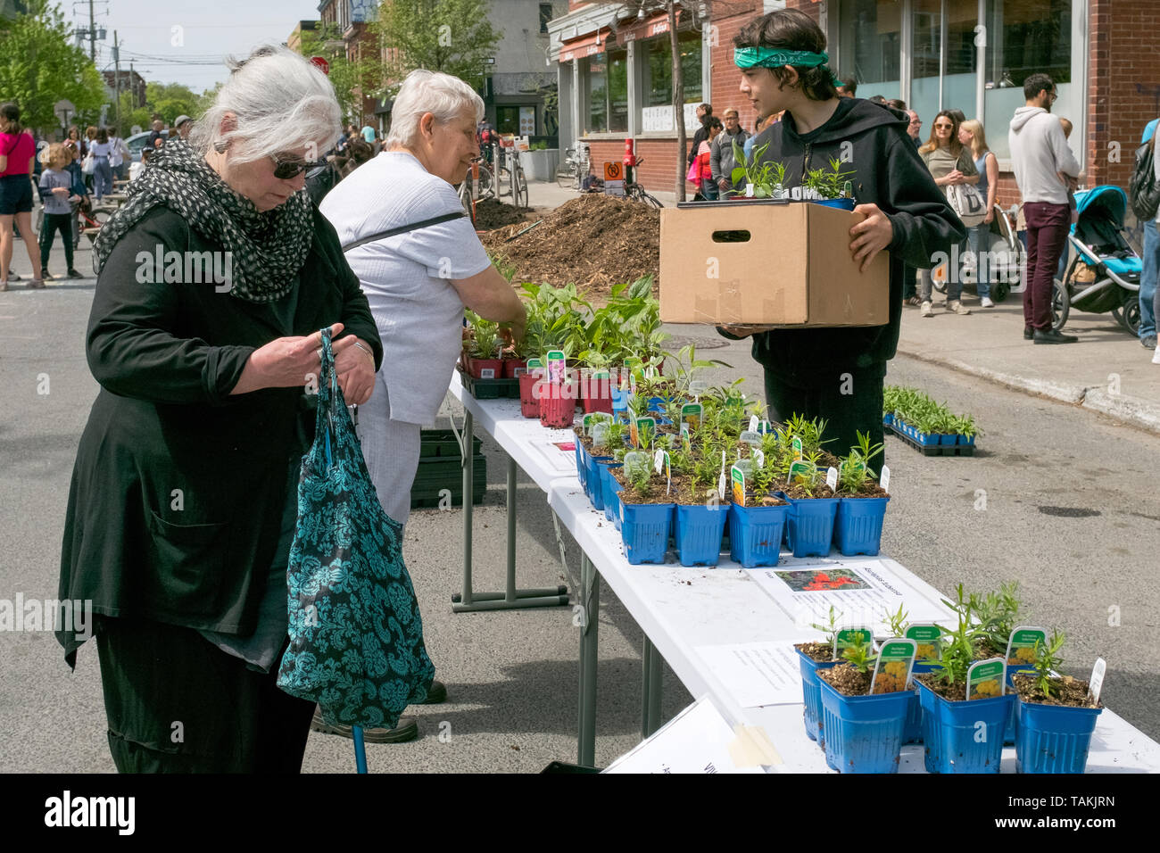 Free distribution of flowers and plants to the residents of the Mile ...