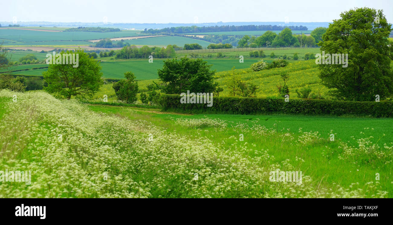 English countryside in may hi-res stock photography and images - Alamy