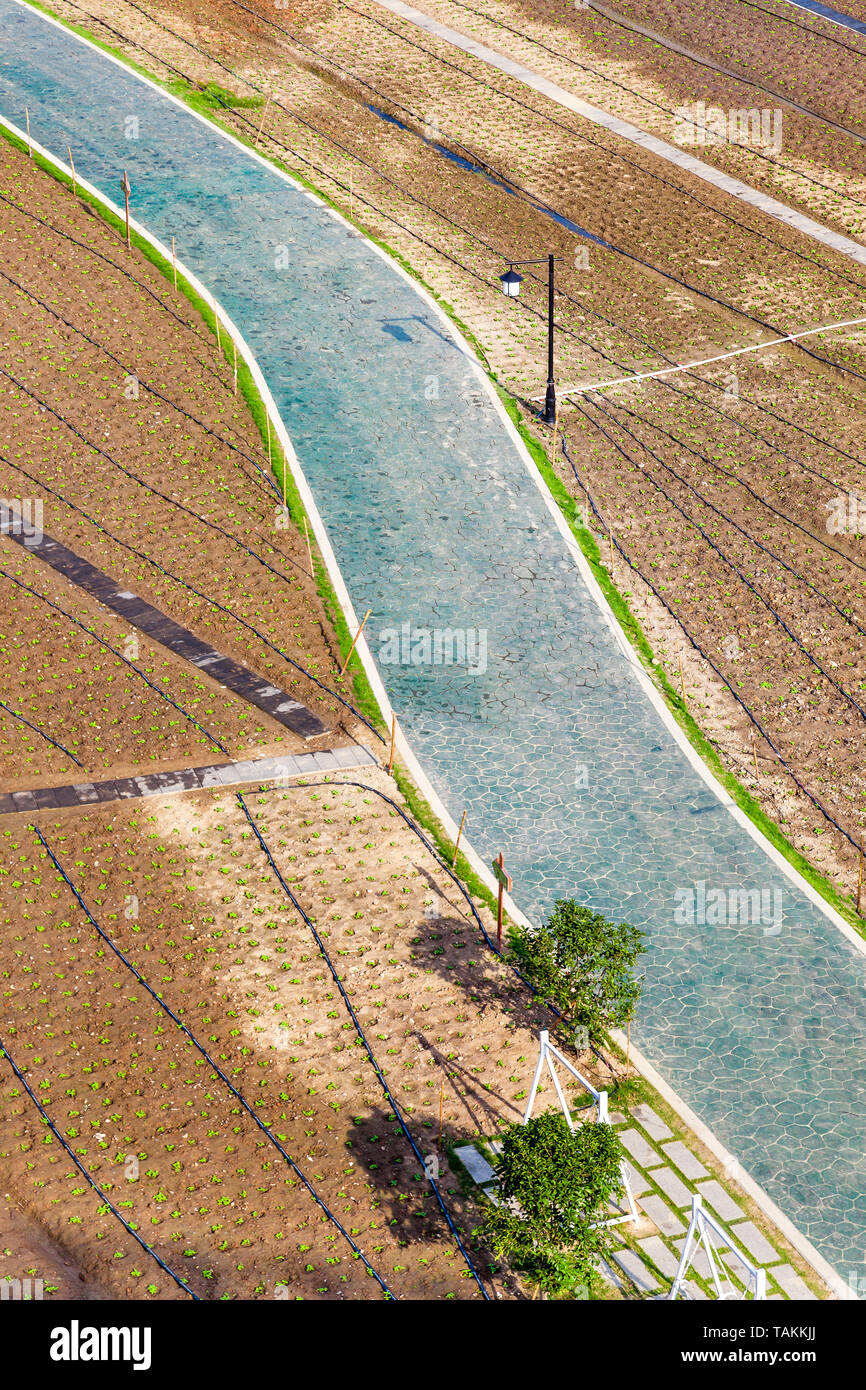 Agriculture china drone farming hi-res stock photography and images - Alamy