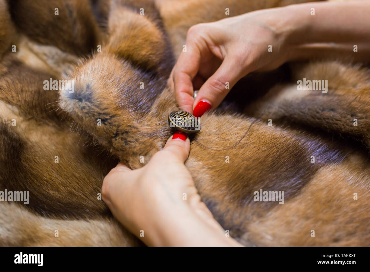 Tailor sewing button fur coat hi-res stock photography and images - Alamy