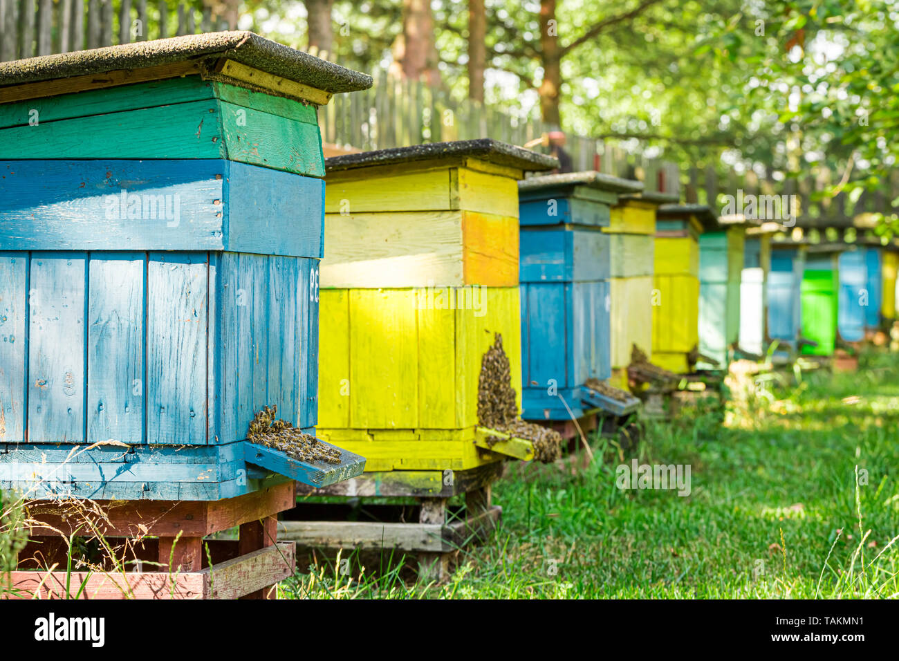 Blue beehives hi-res stock photography and images - Alamy