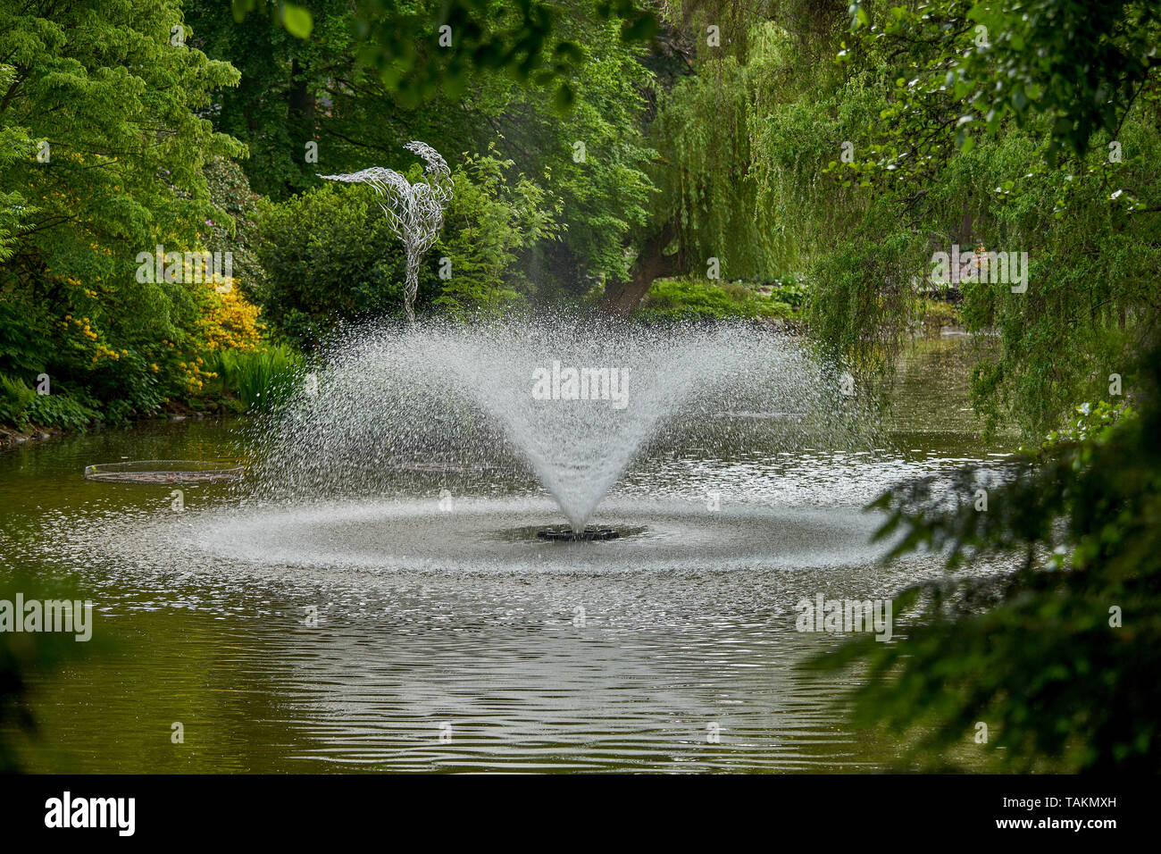 Fountain in the spring Botanical Gardens Wroclaw Stock Photo - Alamy