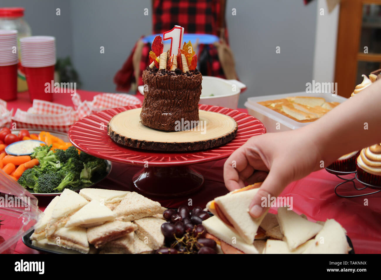 1st celebration cake and decorations, for anniversary, birthday or ...