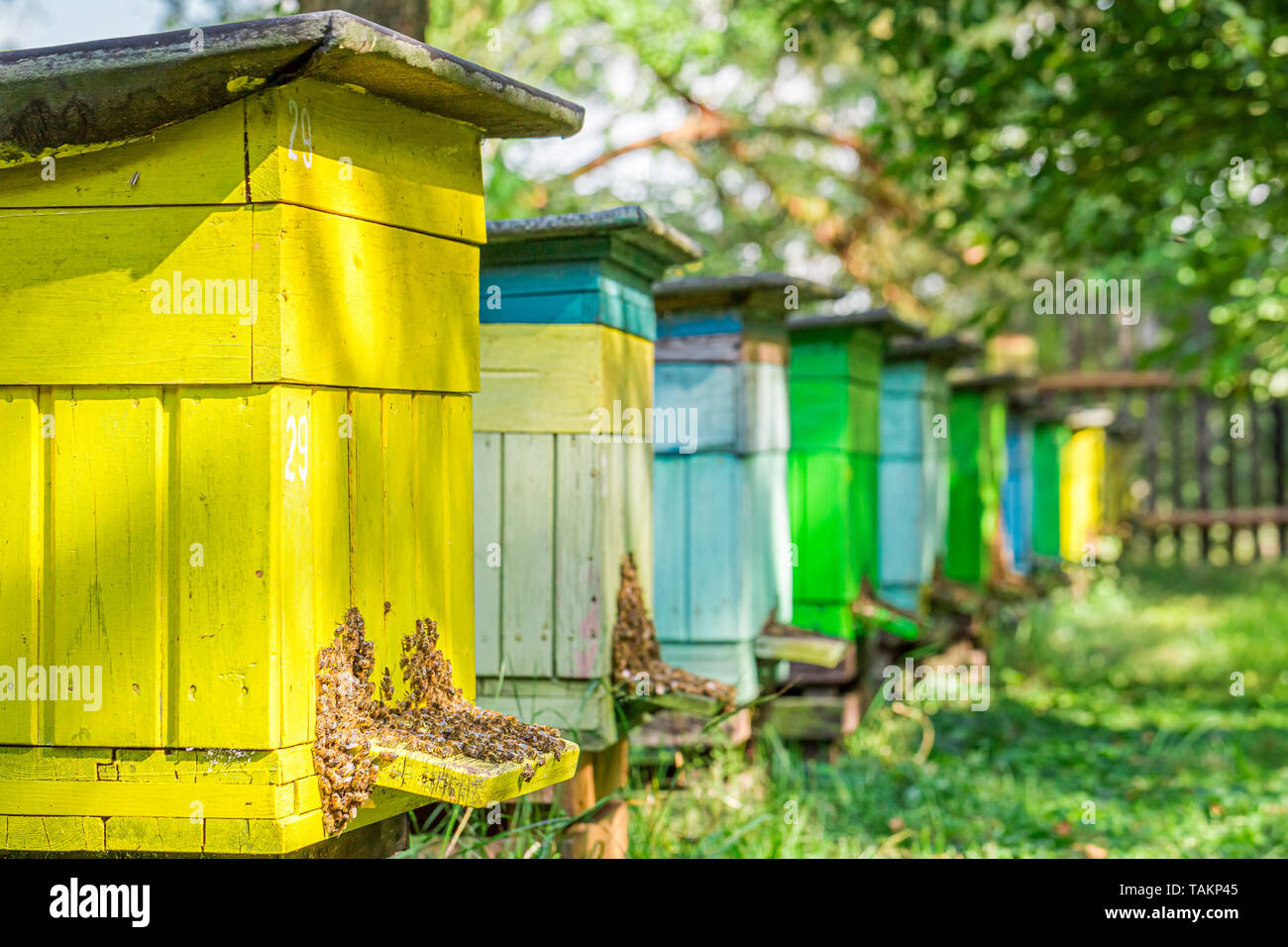 Old wooden beehives hi-res stock photography and images - Alamy