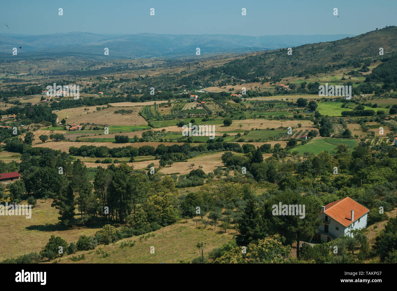 Roof among green trees and farmed fields on hilly landscape near ...