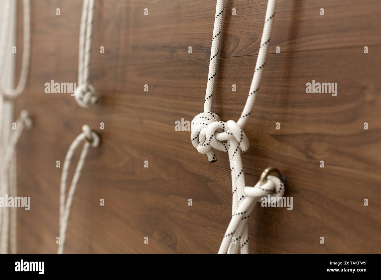ropes for stretching and physical training. Kurunta yoga class Stock ...