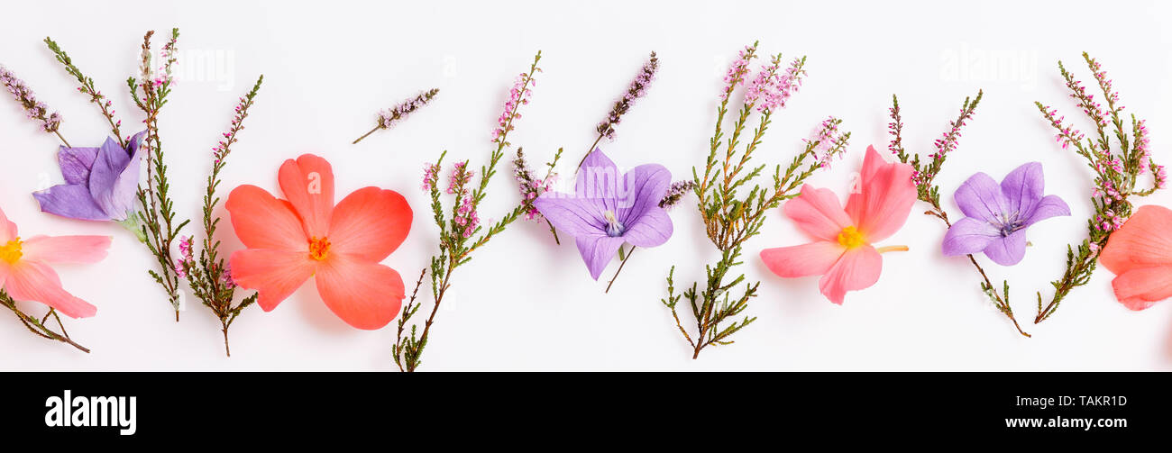 Flower Top Border