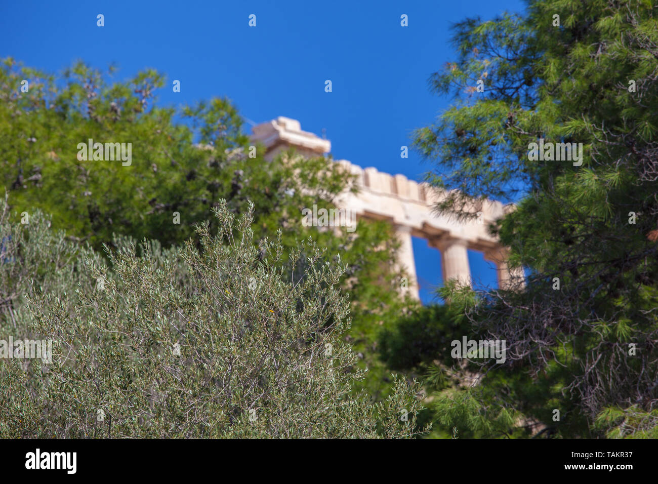 Trees with Parthenon in the background, Athens Acropolis, Greece Stock ...