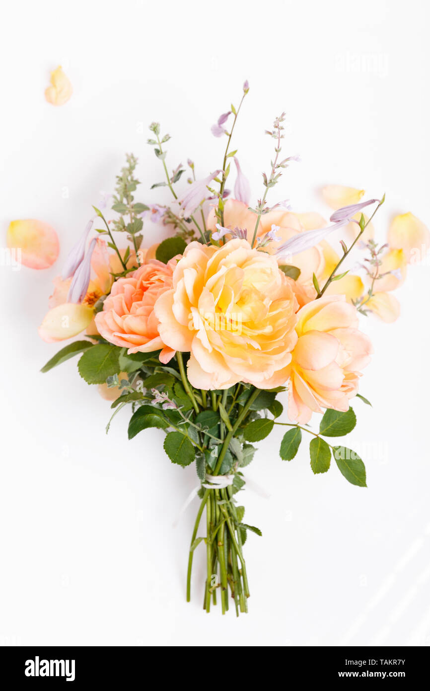 Romantic bouquet of orange English roses on a white background Stock ...
