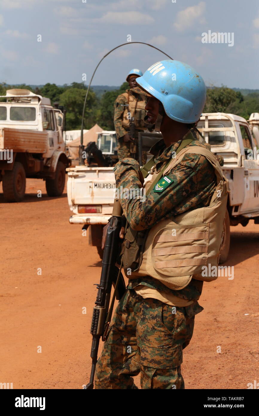 Central African rebel leader Ali Darissa Stock Photo - Alamy