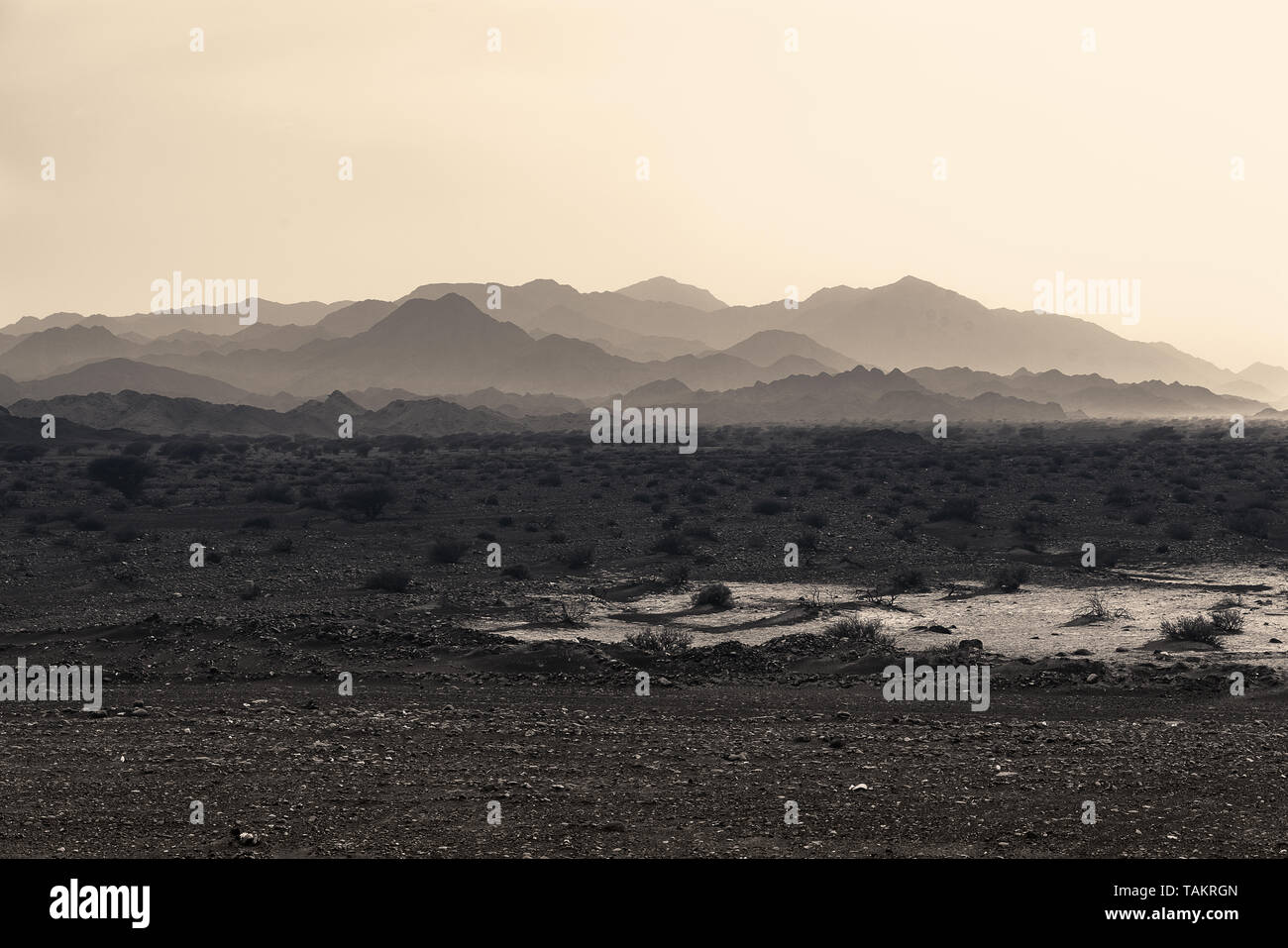 Dubai desert safari hi-res stock photography and images - Alamy