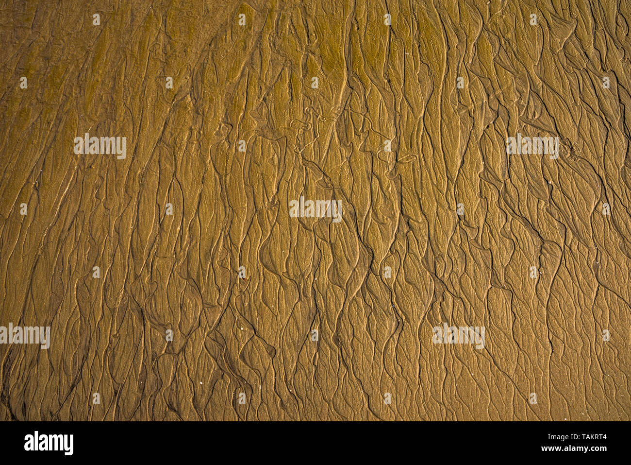 Beach sand erosion golden colored sand idea for background Stock Photo ...