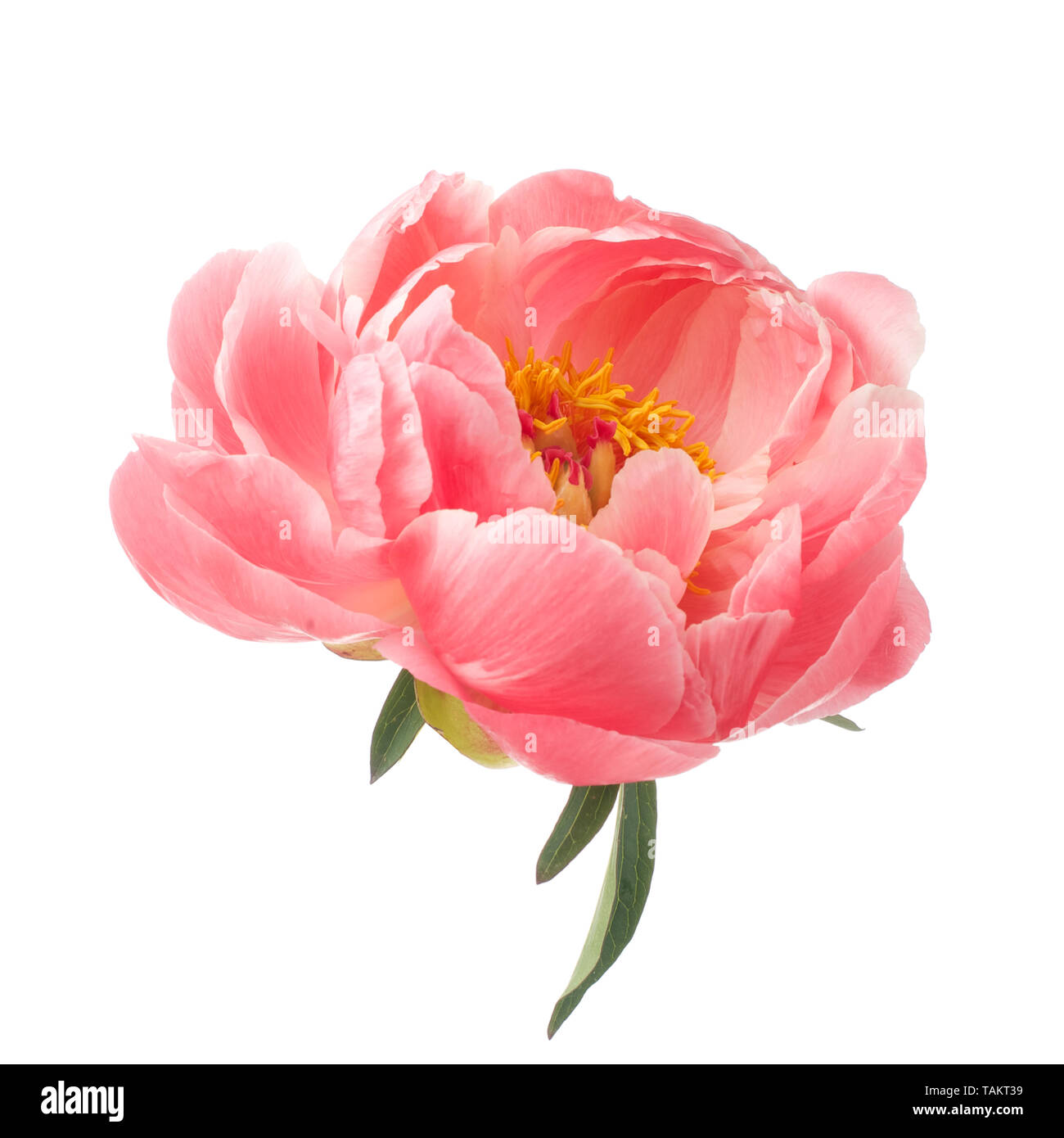 Beautiful background image bright Cut Out Stock Images & Pictures - Alamy