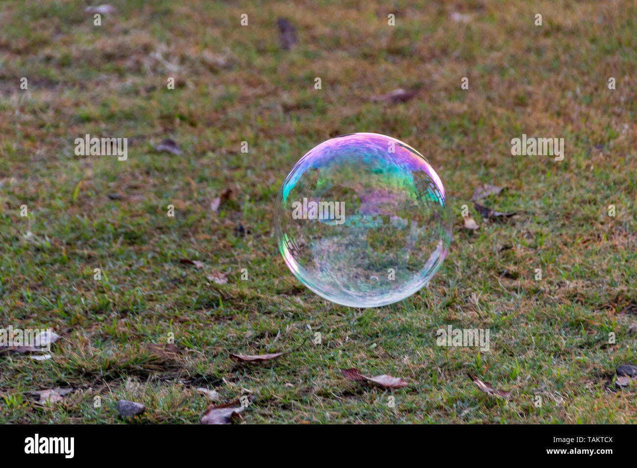Floating bubbles hi-res stock photography and images - Alamy