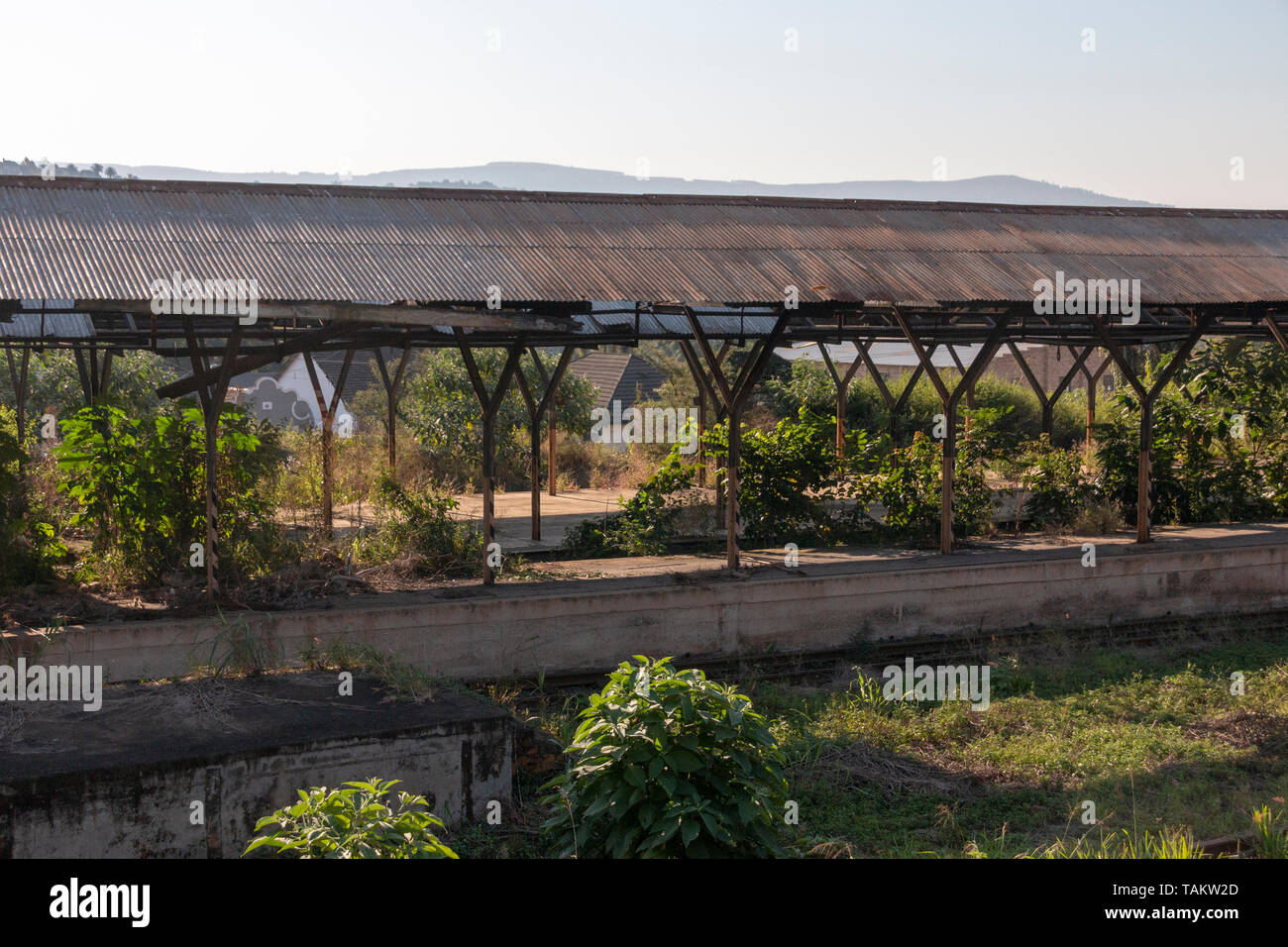 A close up view of a abandoned railway staion that is overgrown and ...