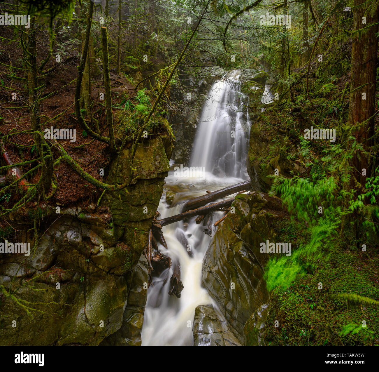 Running rough terrain hi-res stock photography and images - Alamy