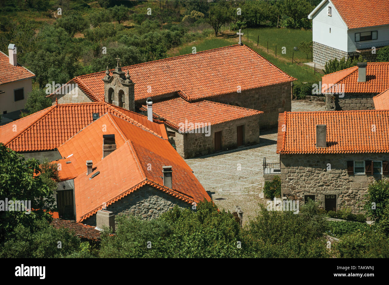 Hilly landscape covered by trees with a square and the roofs of ...
