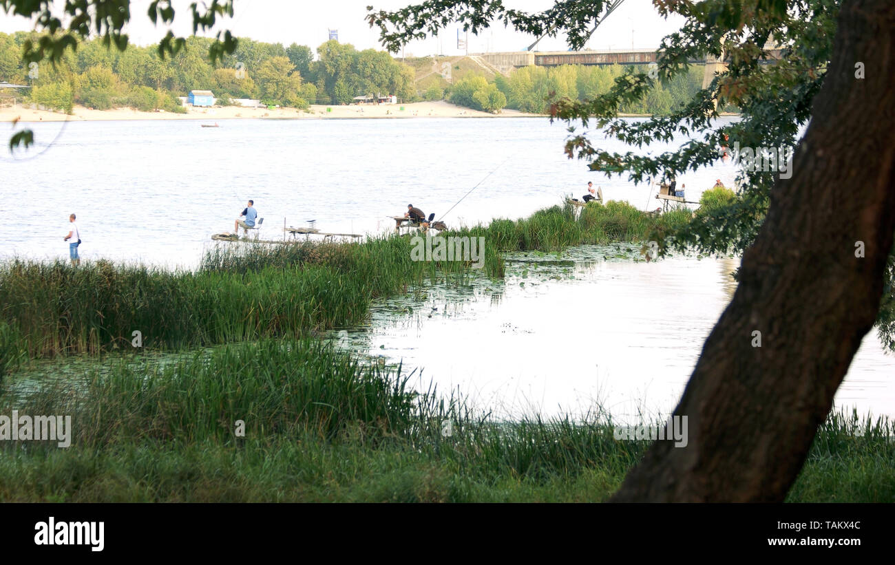 Fishermen fishing on the lake. Trees with green leaves and lake ...