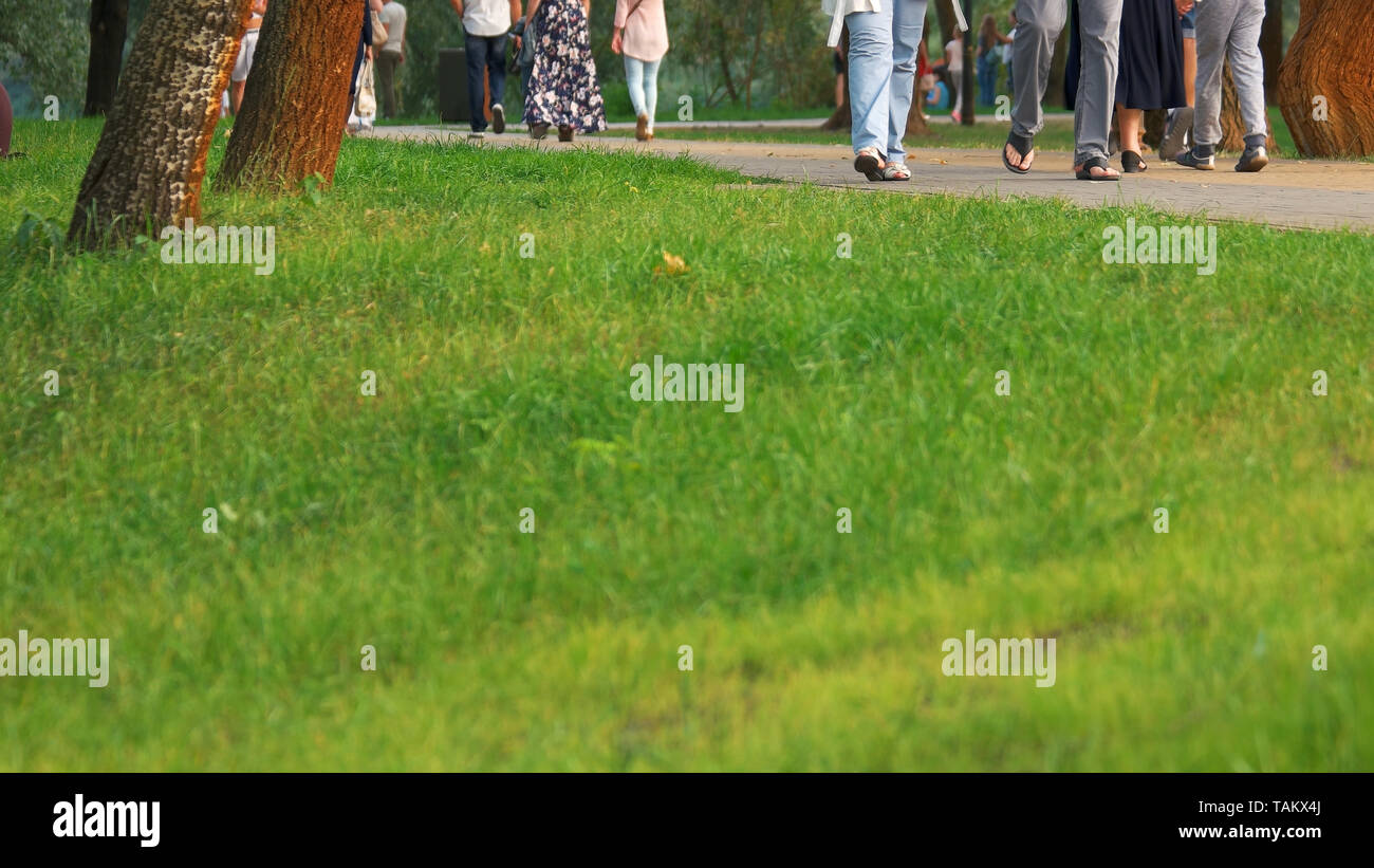 Urban park lawn close up. People walking in summer park, cropped image ...