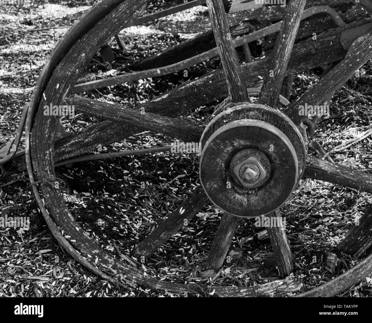 Old western wagon wheel Black and White Stock Photos & Images - Alamy