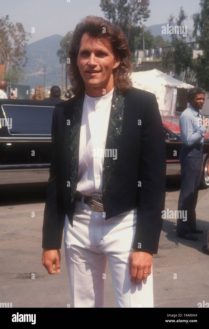 Diamond rose awards hi-res stock photography and images - Alamy