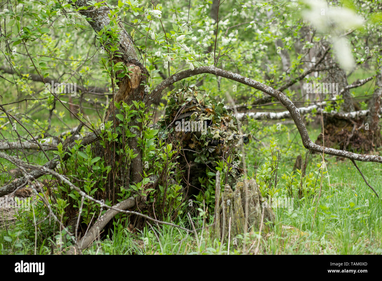 Professional camouflage clothes for the sniper on the man in the woods ...