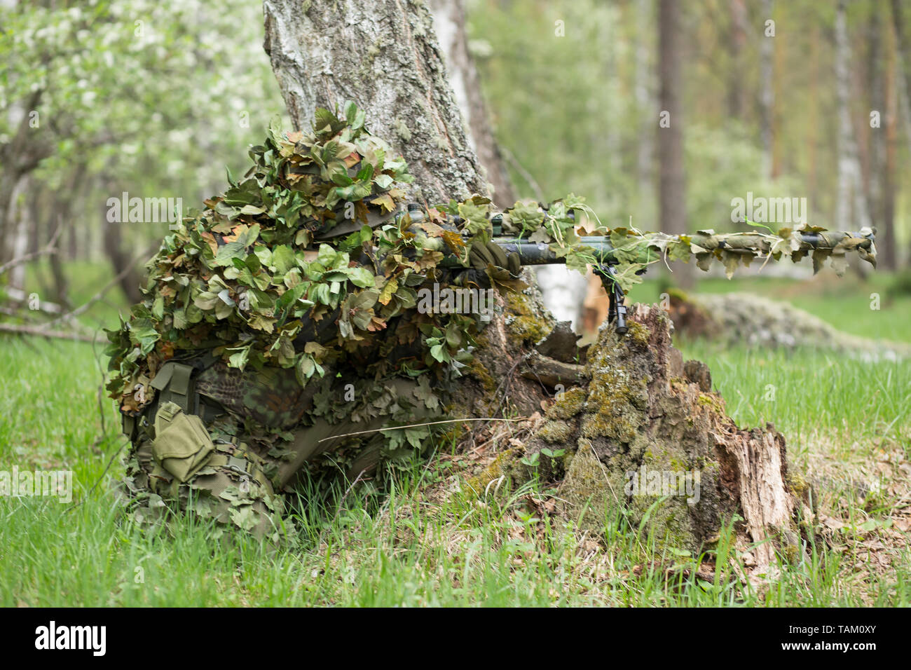 Camouflaged sniper in the forest in ambush. Military man aiming a gun, a rifle at the enemy in ...