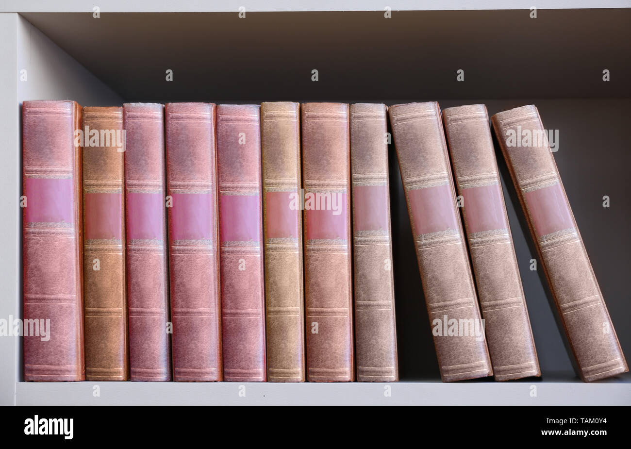 Many books on shelf in modern library Stock Photo - Alamy