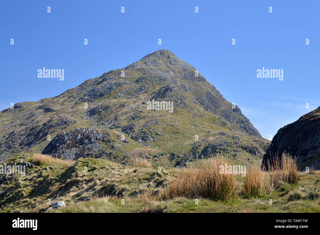 Slopes of cnicht hi-res stock photography and images - Alamy