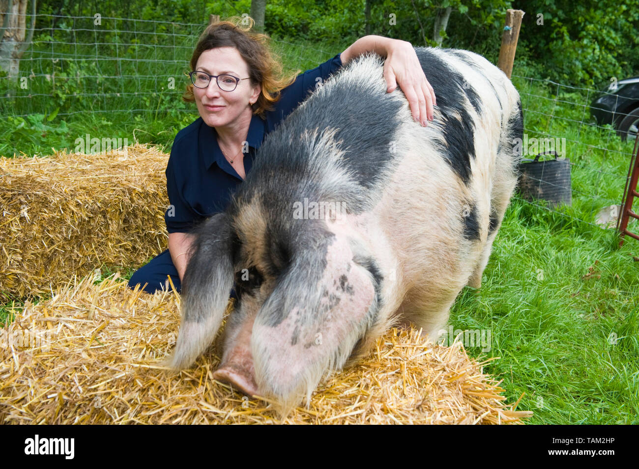 The blue boar hay on wye hi-res stock photography and images - Alamy