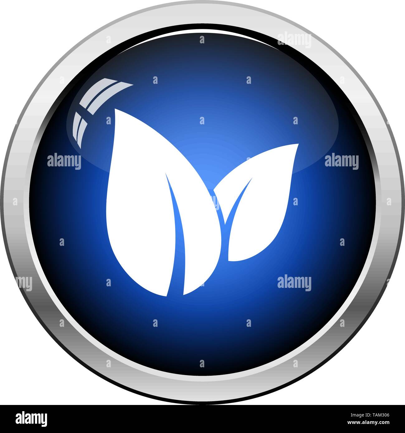 Spa Leaves Icon. Glossy Button Design. Vector Illustration Stock Vector ...