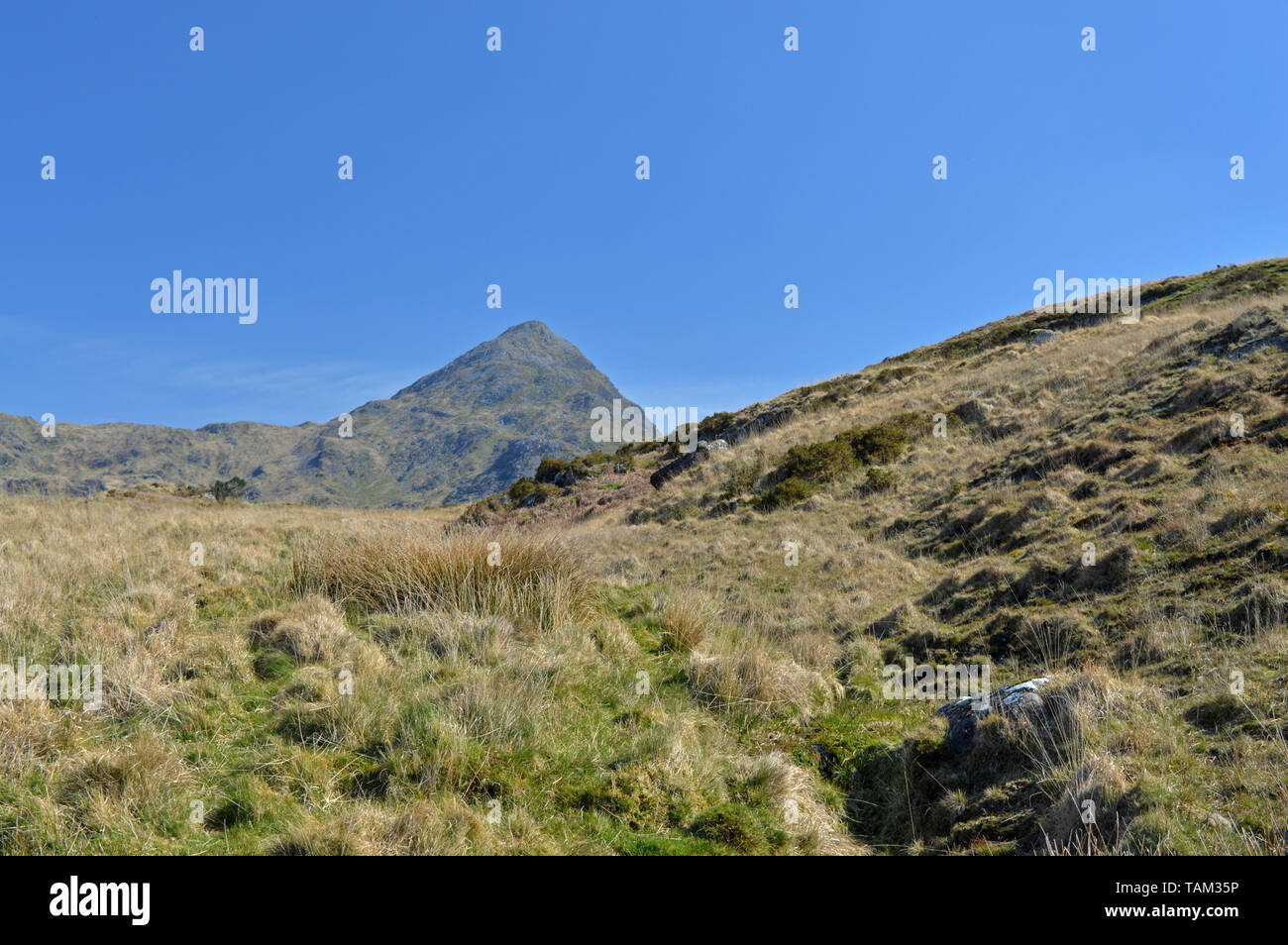 Cnicht mountain path hi-res stock photography and images - Alamy