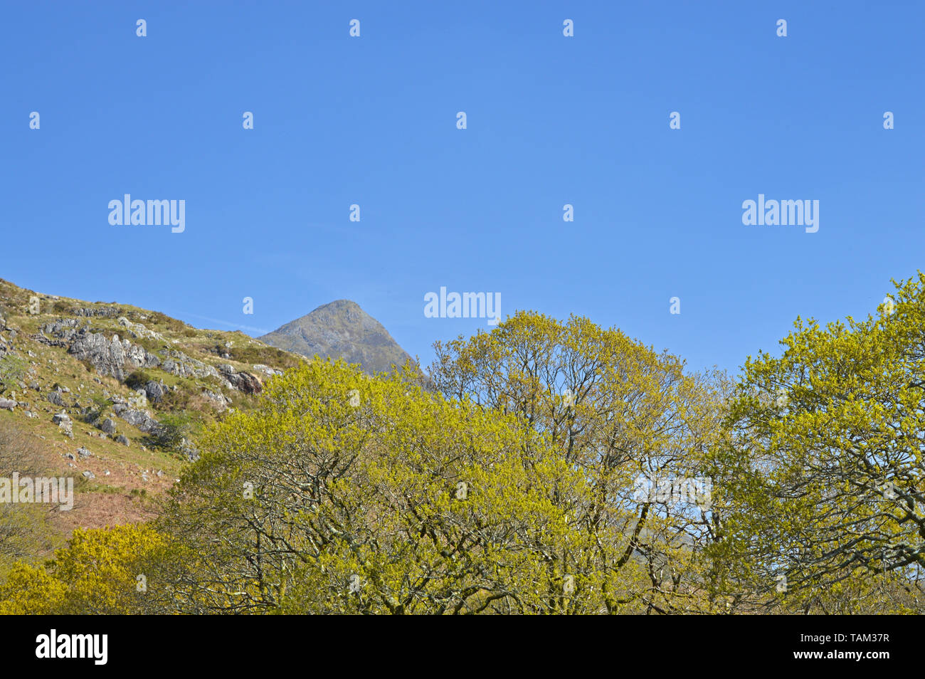 Cnicht mountain path hi-res stock photography and images - Alamy