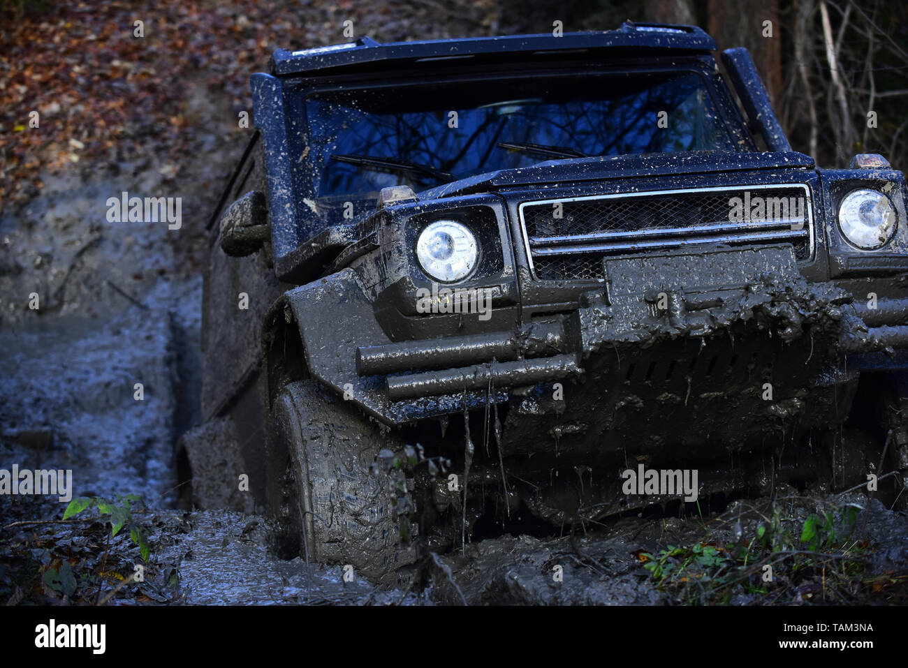 SUV covered with mud stuck in deep puddle. Extreme entertainment ...