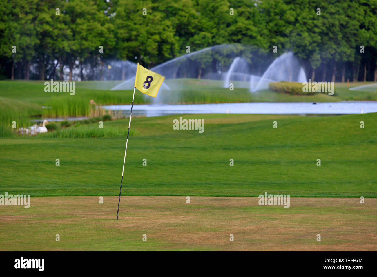 Ukrainian resort hi-res stock photography and images - Alamy