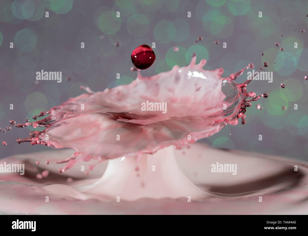 Red drop falling into white liquid, causing amazing unique ripples ...