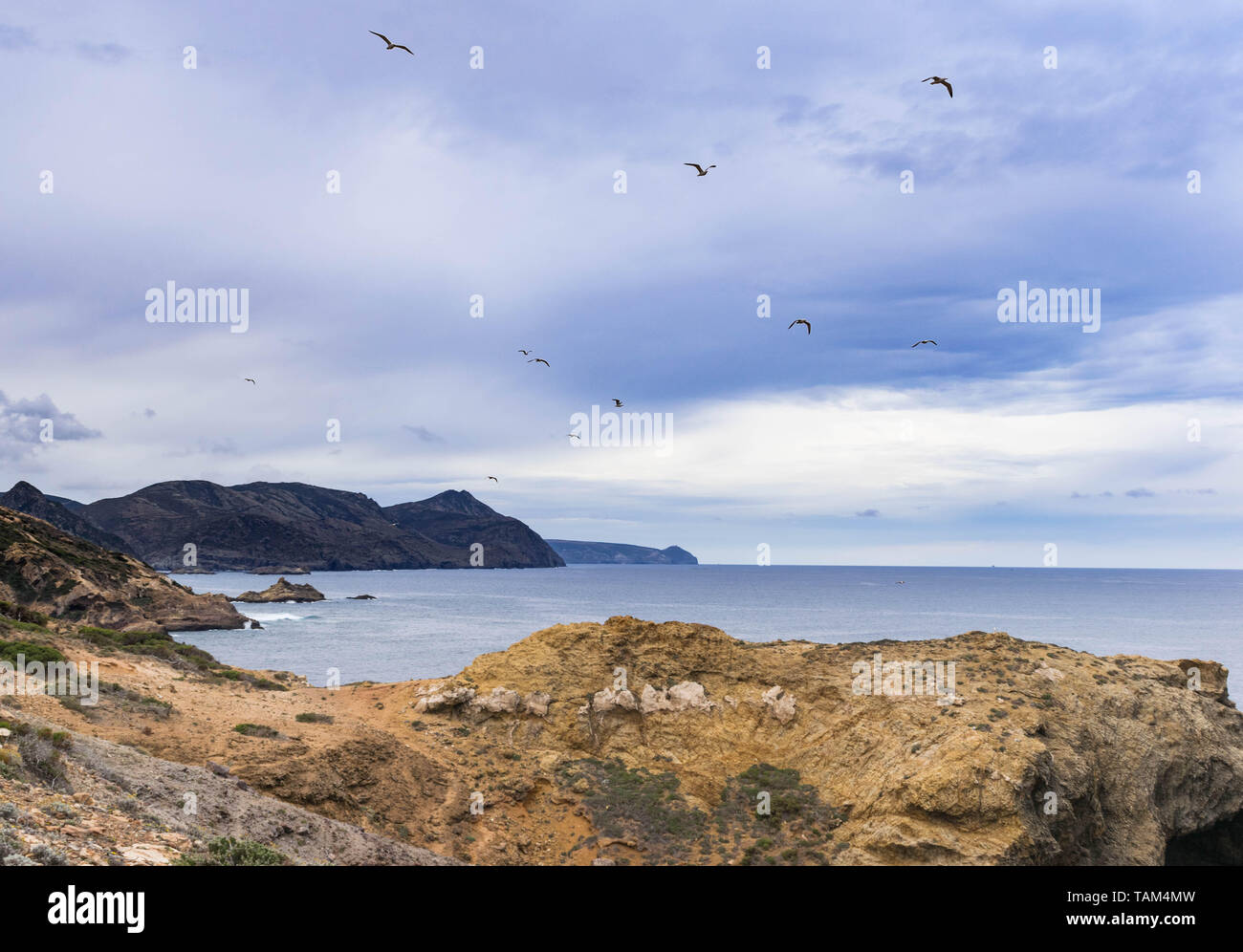 Pebble beach beach hi-res stock photography and images - Alamy