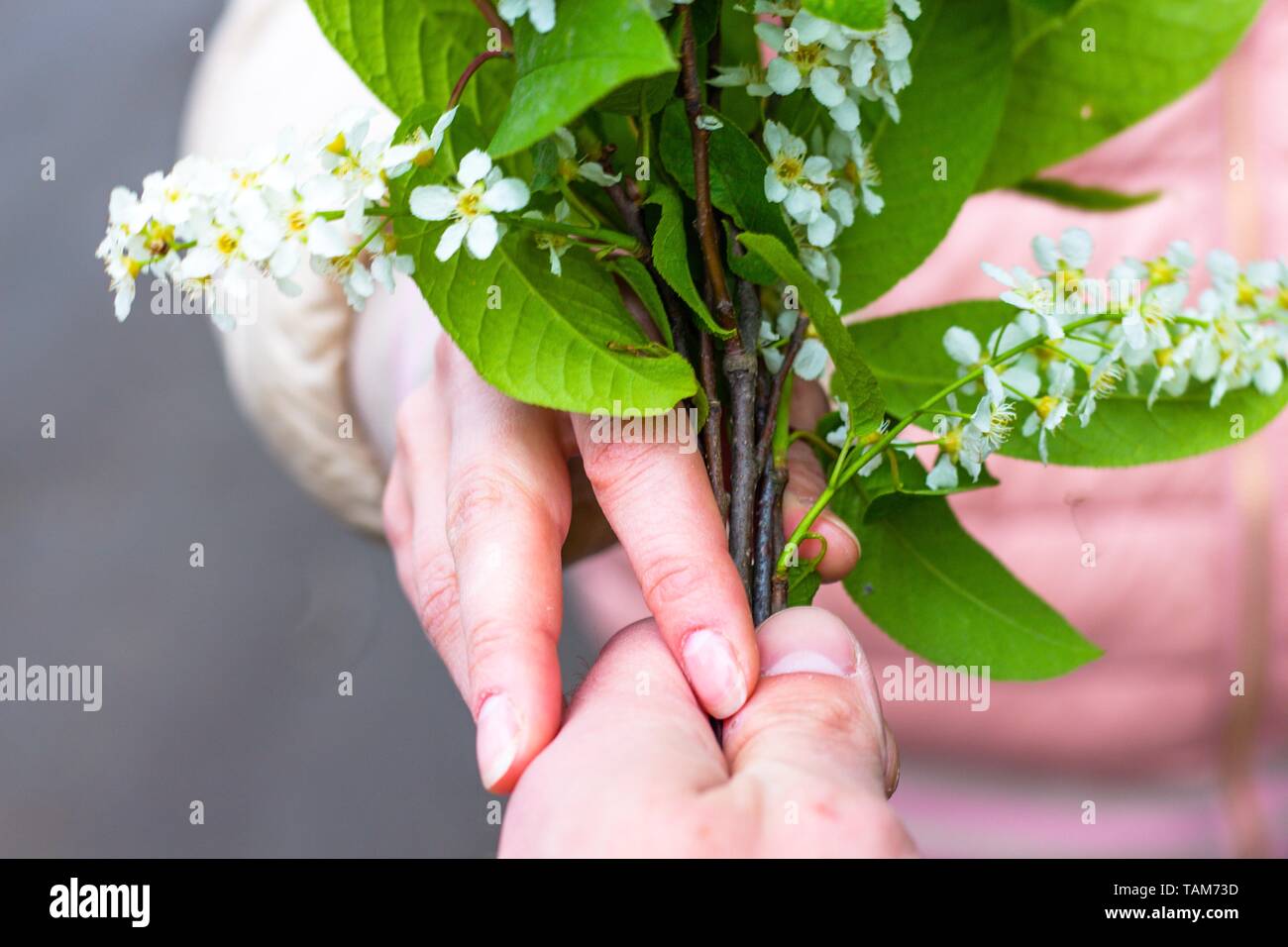 The girl accepts white flowers presented by a man. Flowers are passed ...